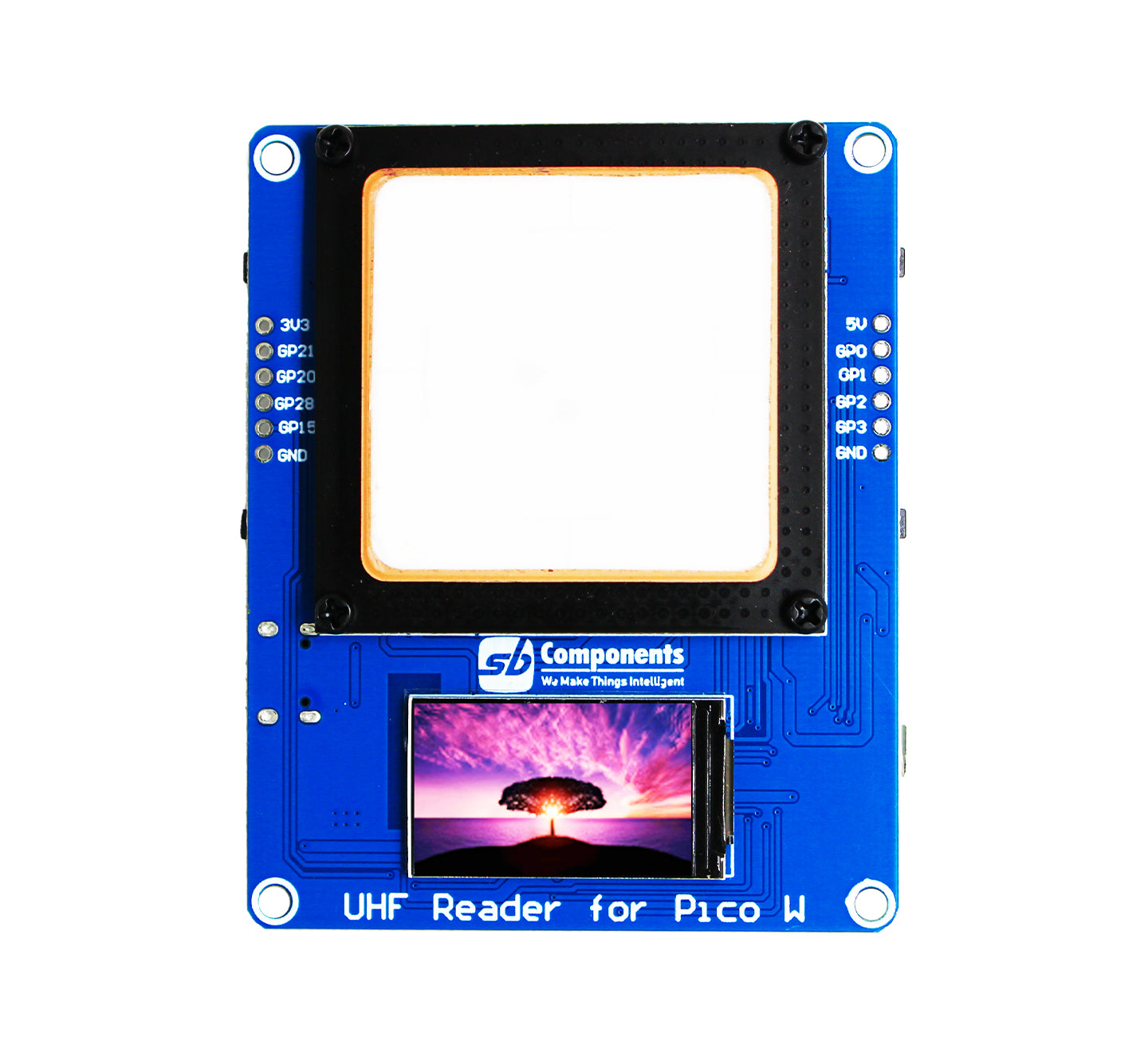 Home UHF Reader Based on Pico W / ESP32