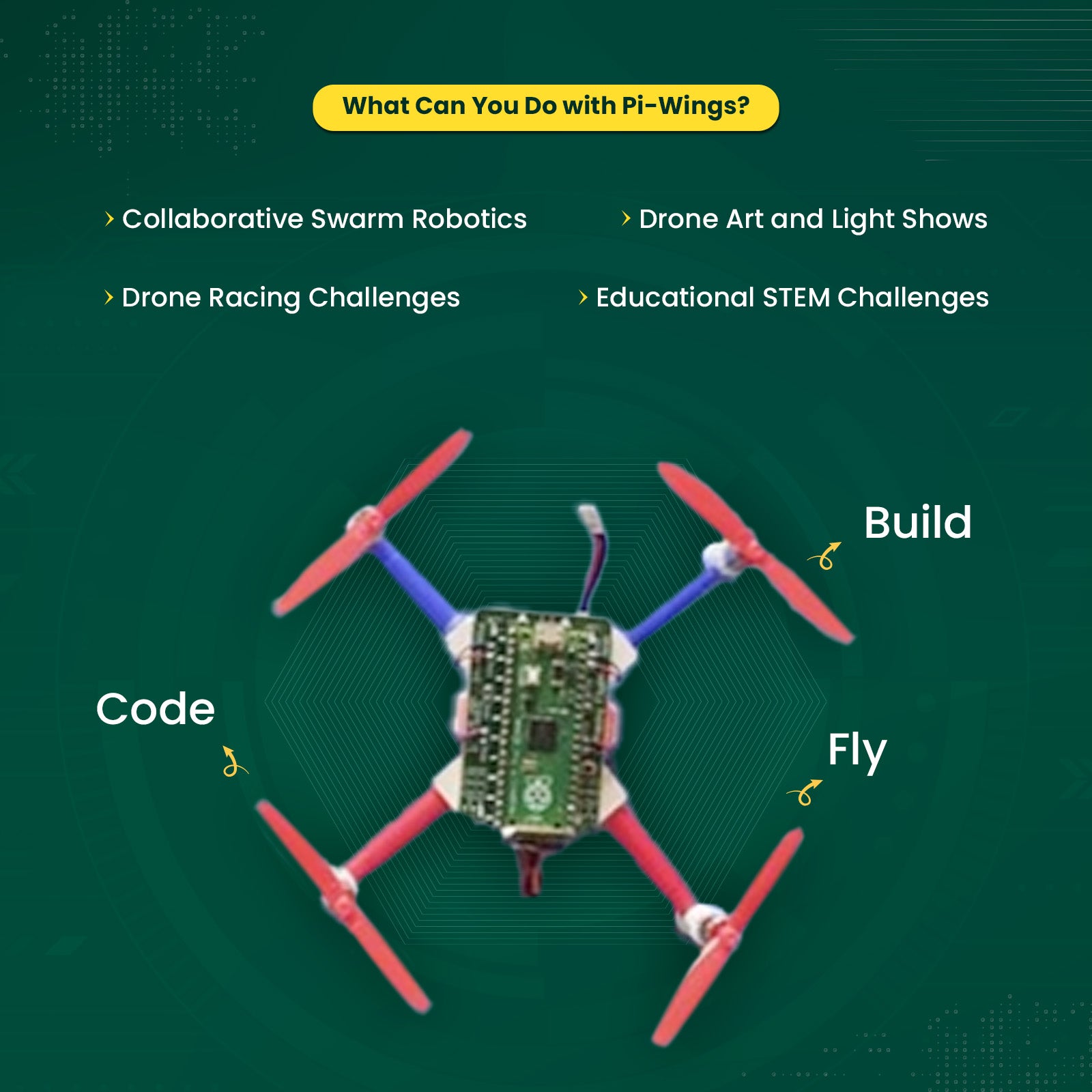 Piwings 20 Quadcopter Drone Kit Powered By Pico