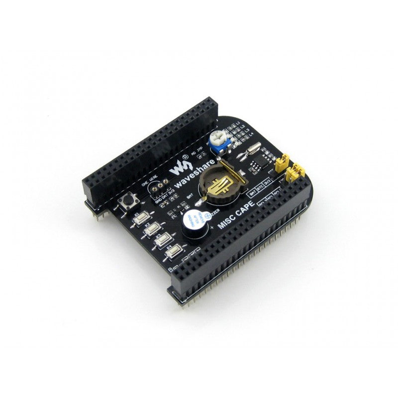 Beaglebone cases